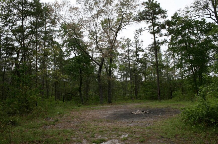 Devil's Tramping Ground: Weird Circle in the Deep Woods - Southern Strange